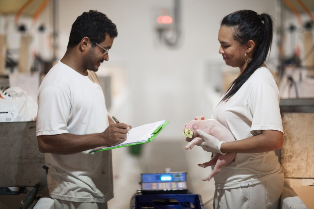 - Blog da Agroceres Multimix