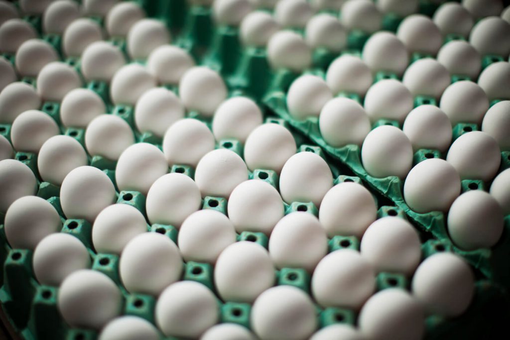 - Blog da Agroceres Multimix