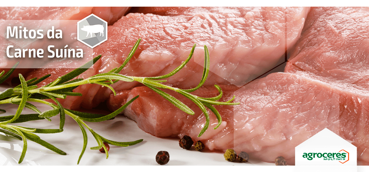 - Blog da Agroceres Multimix