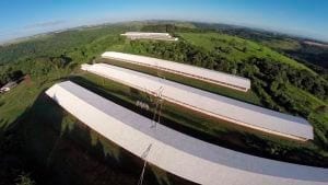 Instalação e ambiência para aviários - Blog da Agroceres Multimix