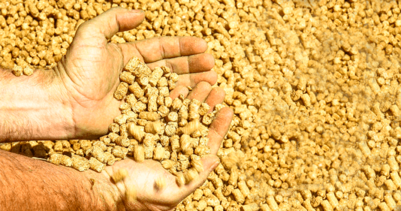 Peletização: benefícios e fatores que interferem na formação dos ...
