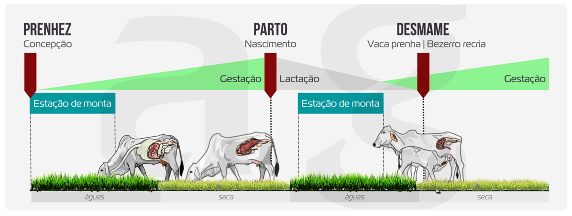 Por que você deve começar a planejar a sua próxima estação de monta ...